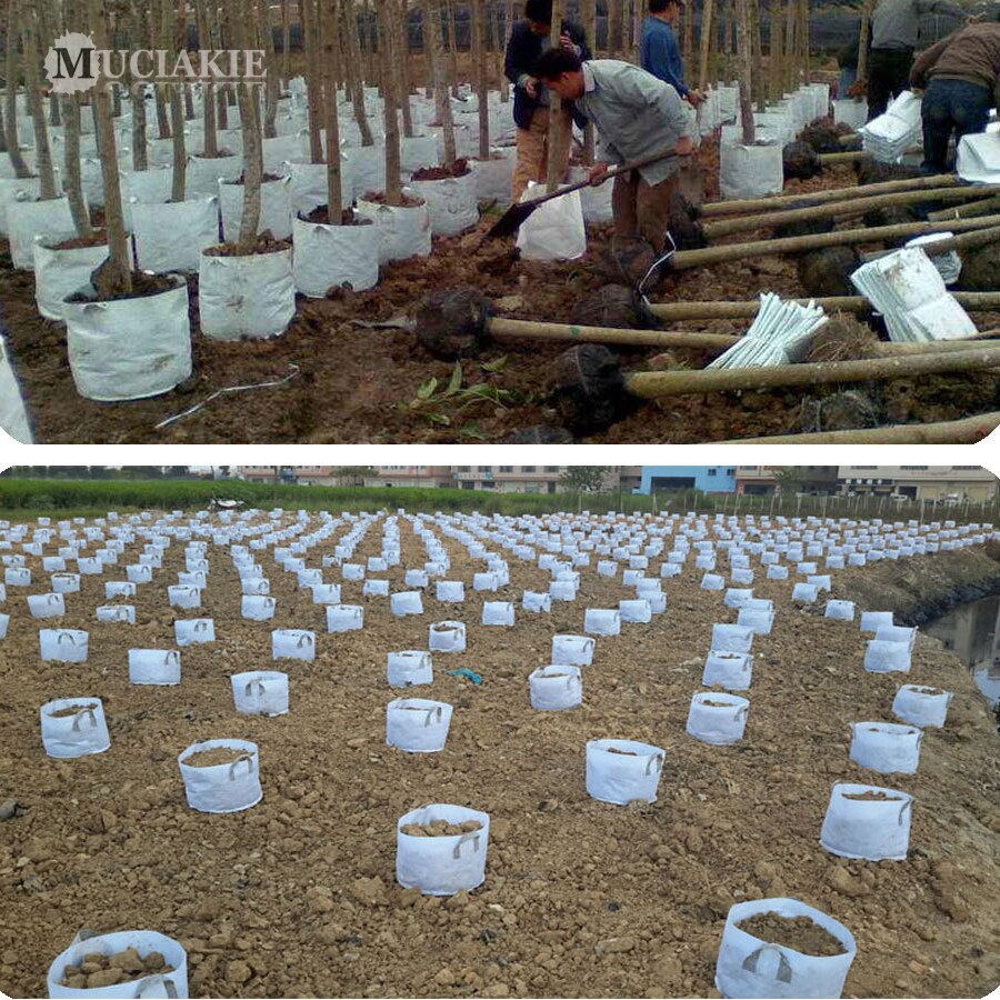 MUCIAKIE Tree Root Control Bags Non Woven Fabric F... – Grandado