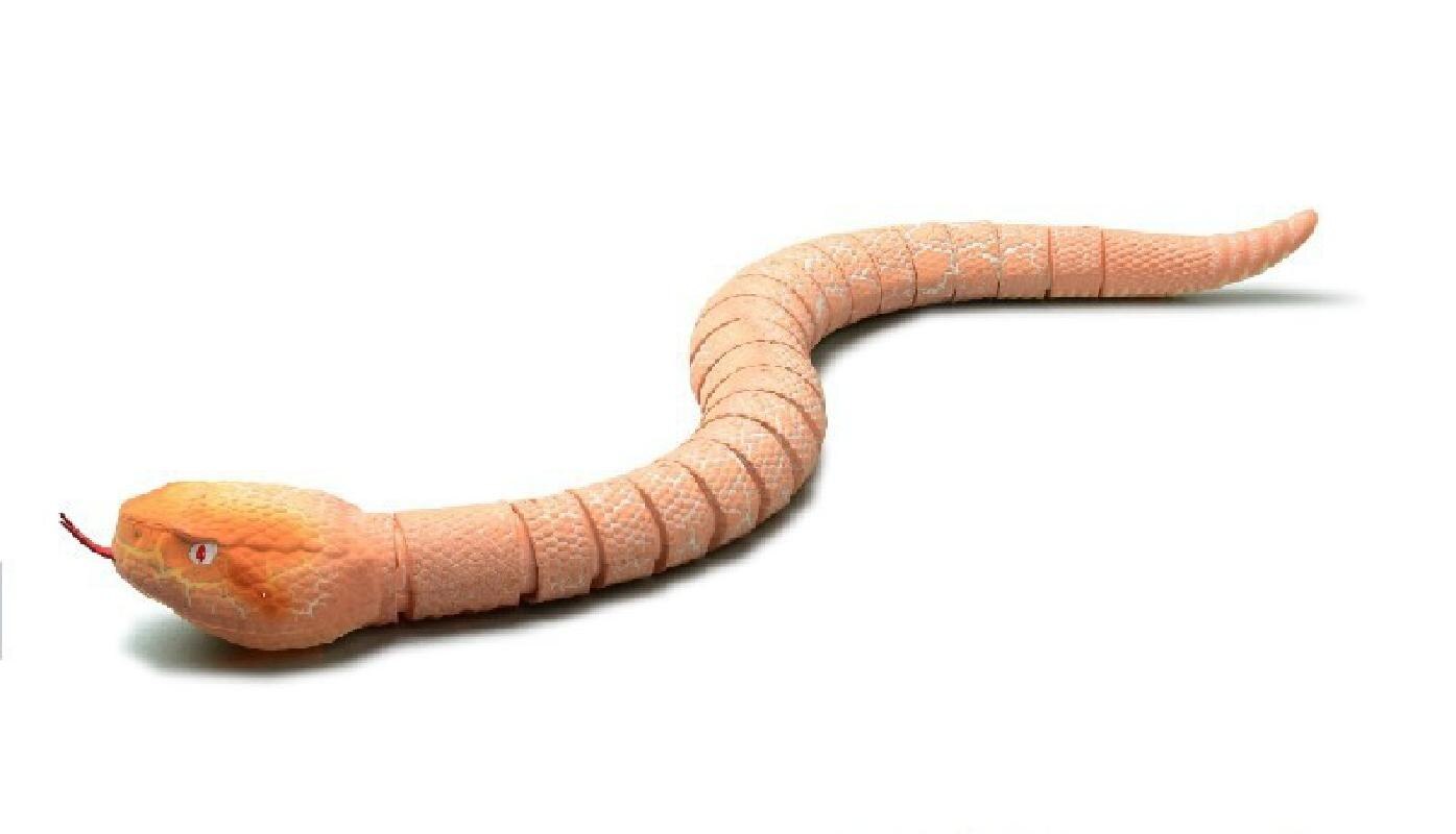 Electronic Rattlesnake With Fun Egg Remote Control... – Vicedeal
