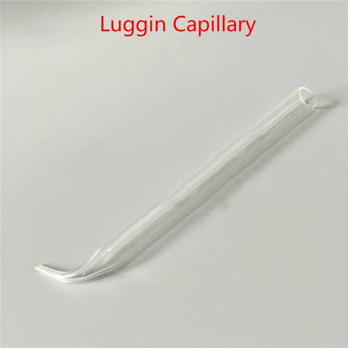 Billing for Luggin capillary type L saltbridge lab... – Vicedeal