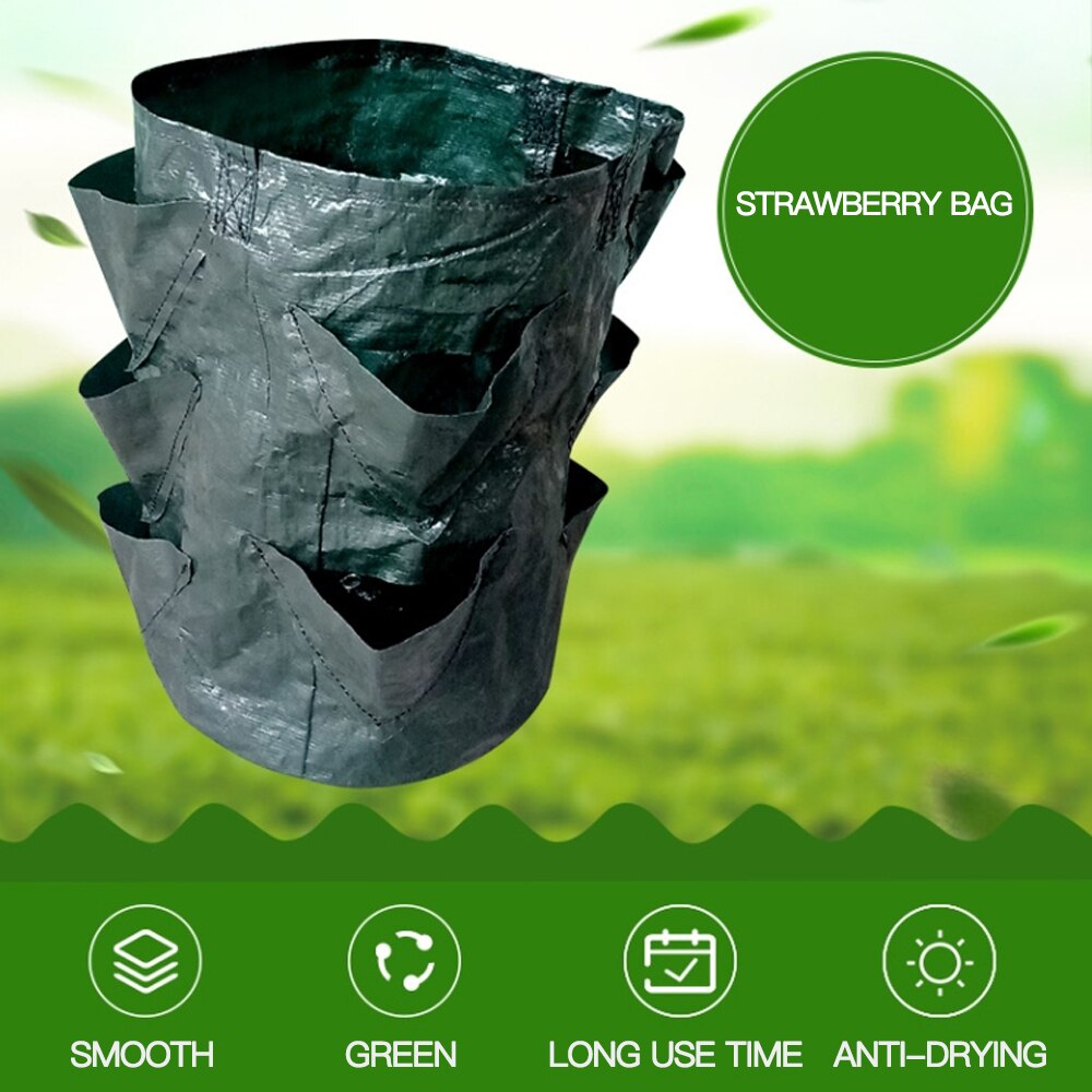 Strawberry Planting Growing Bag 3 Gallons Multi-Mo... – Grandado