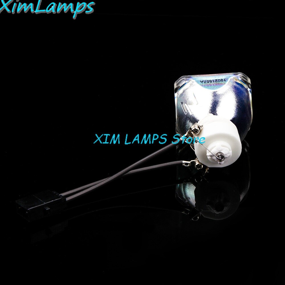 POA-LMP122 Compatible SHP161 Lamp Bulb SHP117 for ... – Grandado