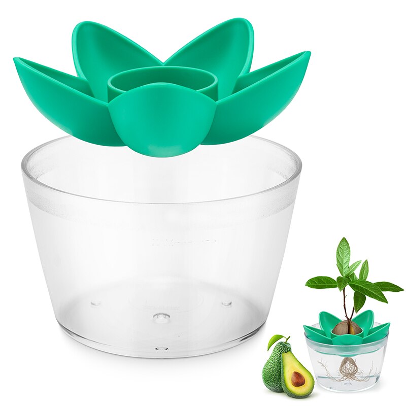Planting Bowl Plant Indoor Kitchen Garden Practica... – Grandado