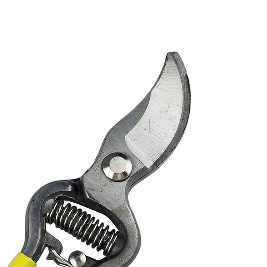 Steel Bypass Pruning Shears, 8 Inch Small Garden T... – Grandado