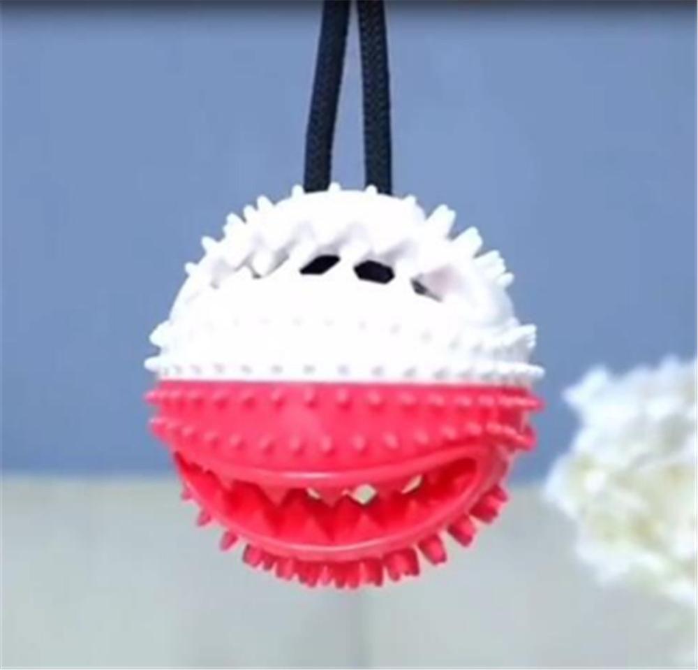 Non-toxic Pet Dog Molar Bite Ball Food Slowly Feed... – Vicedeal