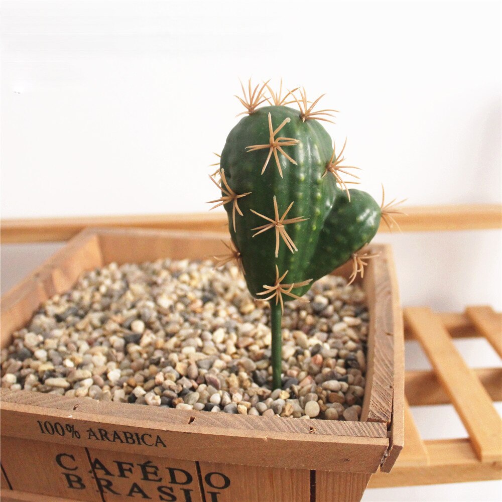 1 unidad DIY Cactus verde de tacto Real plantas su... – Vicedeal