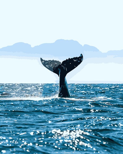 Painting By Numbers Whale DIY Oil Painting By Numb... – Vicedeal