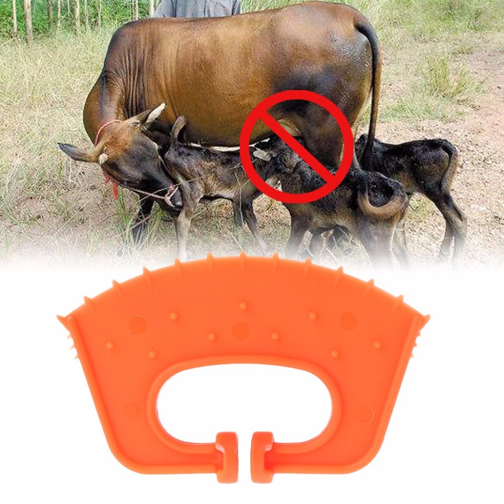 Calf Weaner Cattle Cow Weaning Tool Farm Livestock... – Grandado