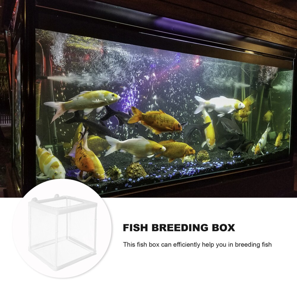 1Pc Fish Breeder Box Practical Fish Aquarium Home ... – Vicedeal