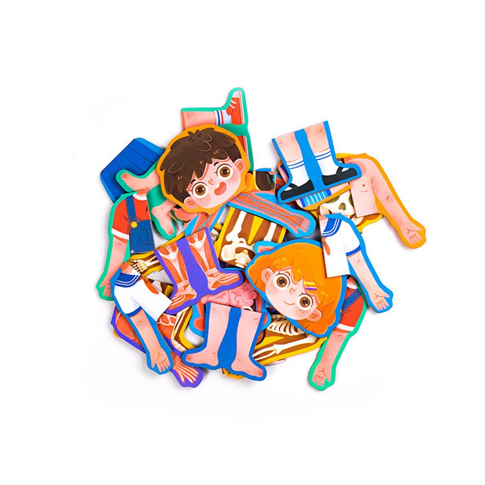 Wooden Puzzles Body Structure Cognitive Puzzle Edu... – Grandado