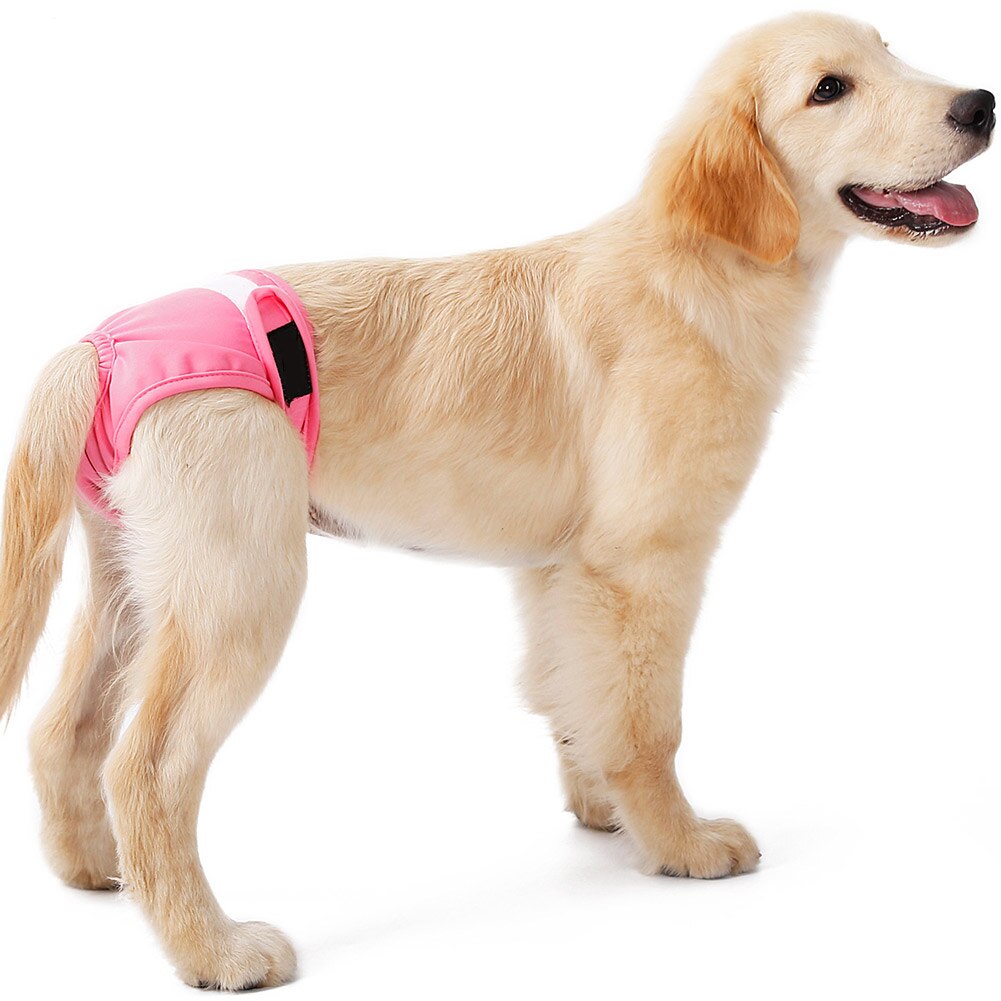 Simple Cute Puppy Dog Diaper Physiological Pants P... – Vicedeal