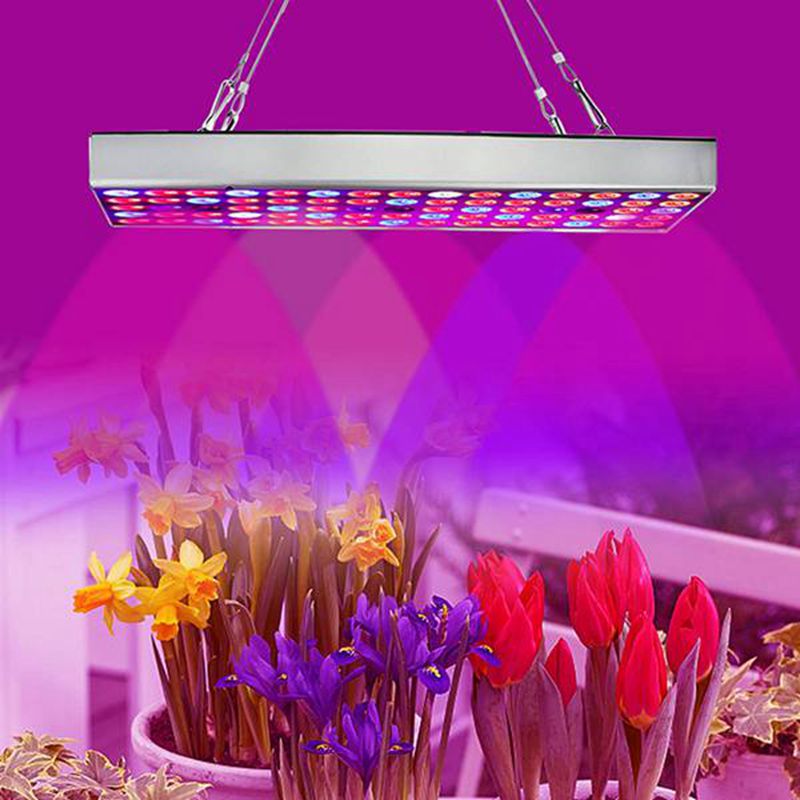 Eu Plug,Growing Lamps Led Grow Light 25W Ac85-265V... – Grandado