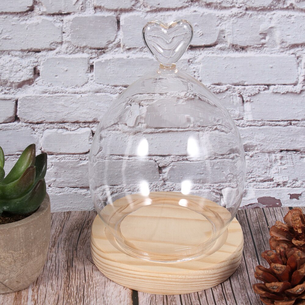 Dried Flower Display Glass Cover Preserved Flower ... – Vicedeal