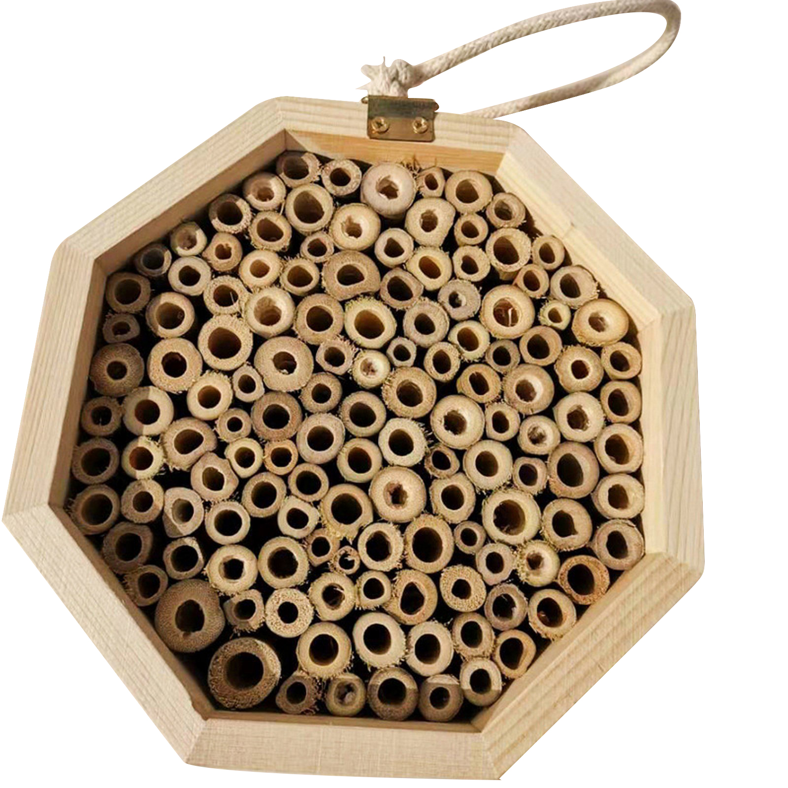 Bee House Tubes Wooden Beehive Box Frames Beekeepi... – Grandado