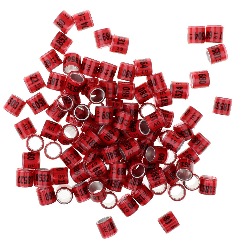 100 Pieces Racing PIgeon Leg Ring Tag Band w/ Plac... – Grandado