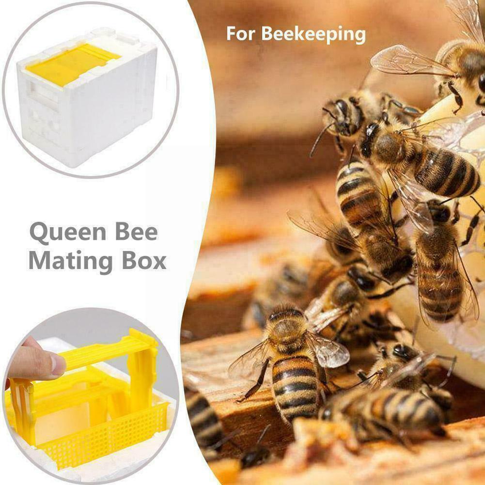 Beekeeping King Box Pollination Box Foam Frames Be... – Grandado
