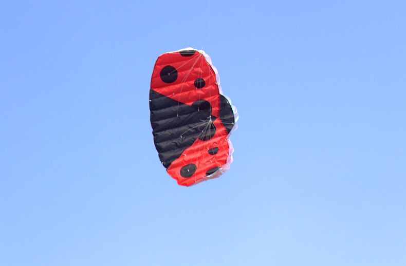 Neue 1,4 m Marienkäfer Dual Linie Parafoil Fallsch... – Grandado