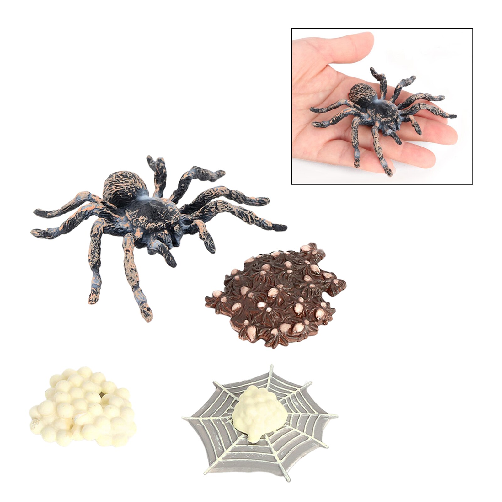 4Pcs Assorted Plastic Insects Giant Whiteknee Spid... – Vicedeal