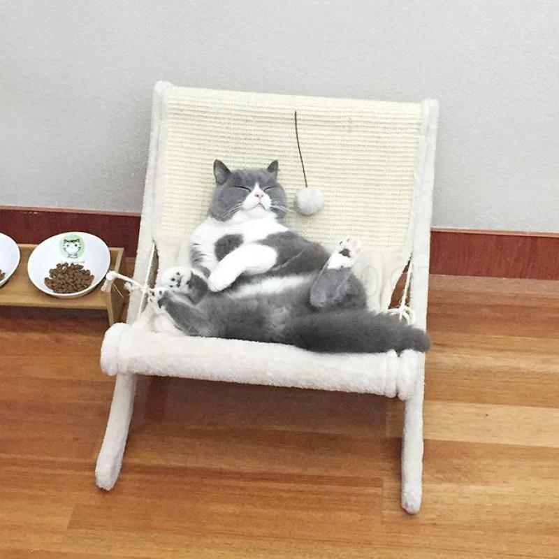 Katten Stoel Hangmatten Sisal Kat Klim Boom Huis K Grandado