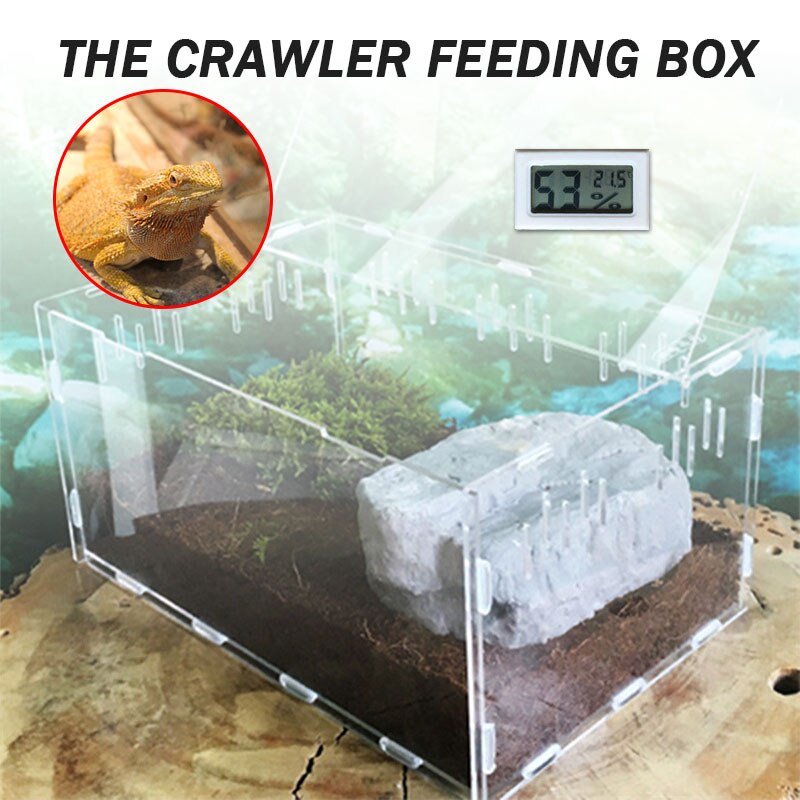 Transparent Pet Box Portable Reptile Pets Reptile ... – Vicedeal