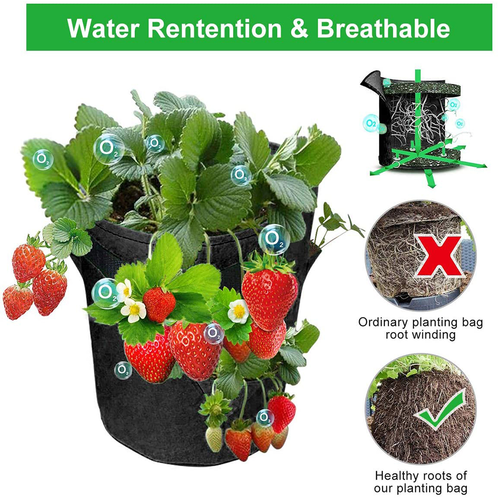 5/7/10 Gallons Strawberry Tomato Planting Bags Gar... – Grandado