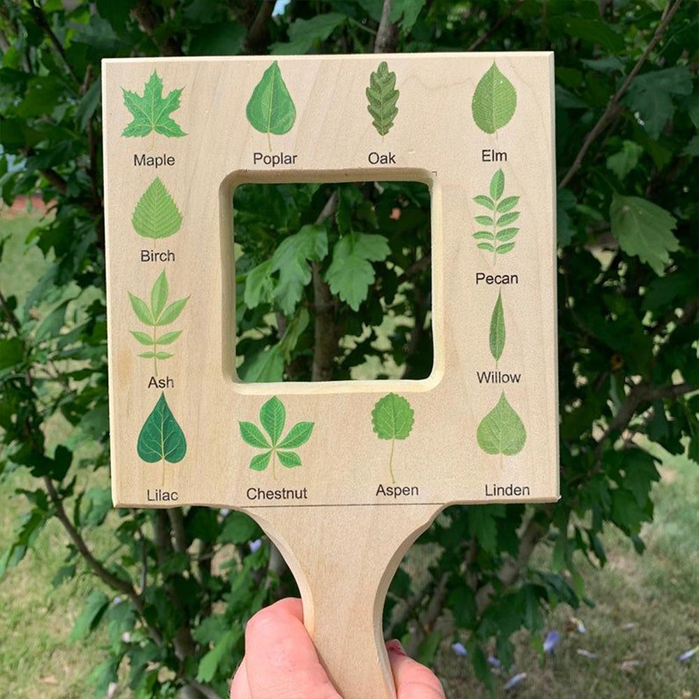 Double-side Nature Guide Finder Leaf Finder Cloud ... – Grandado