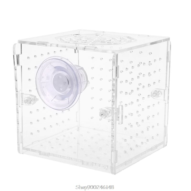 Acrylic Aquarium Fish Breeding Isolation Box With ... – Vicedeal
