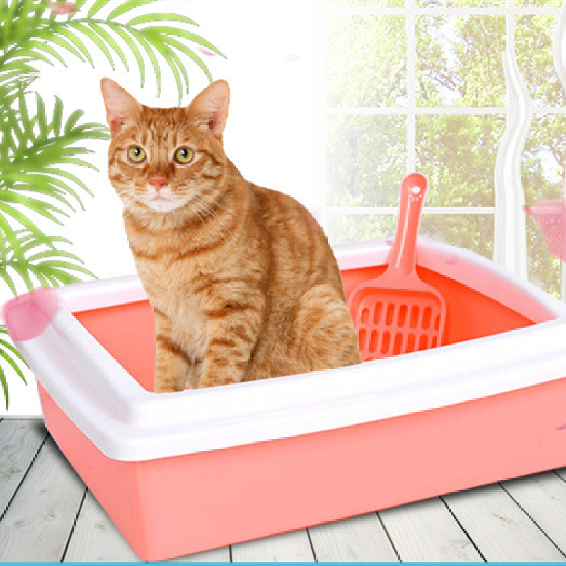 Cat Toilet Cat Stand Pet Poop Cat Litter Box Plast... – Grandado