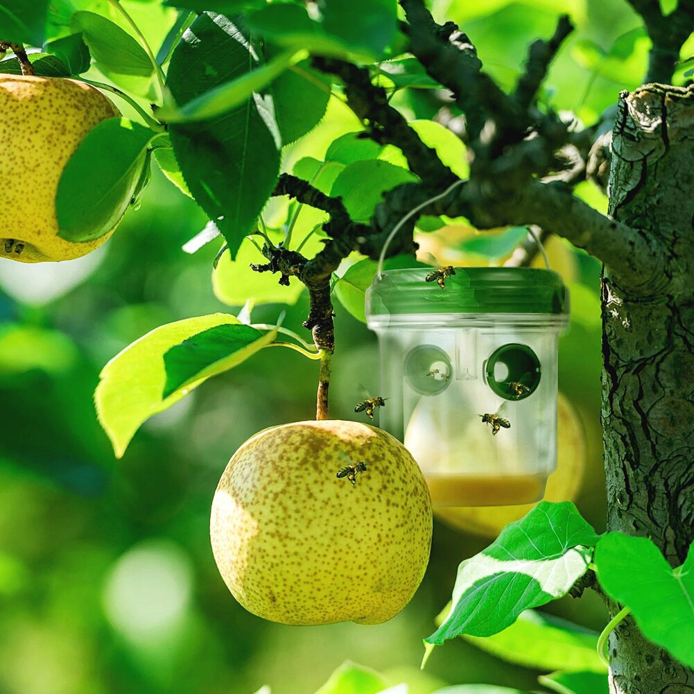 Bee Catcher met Solar LED Lamp Bee springende Mach... – Vicedeal