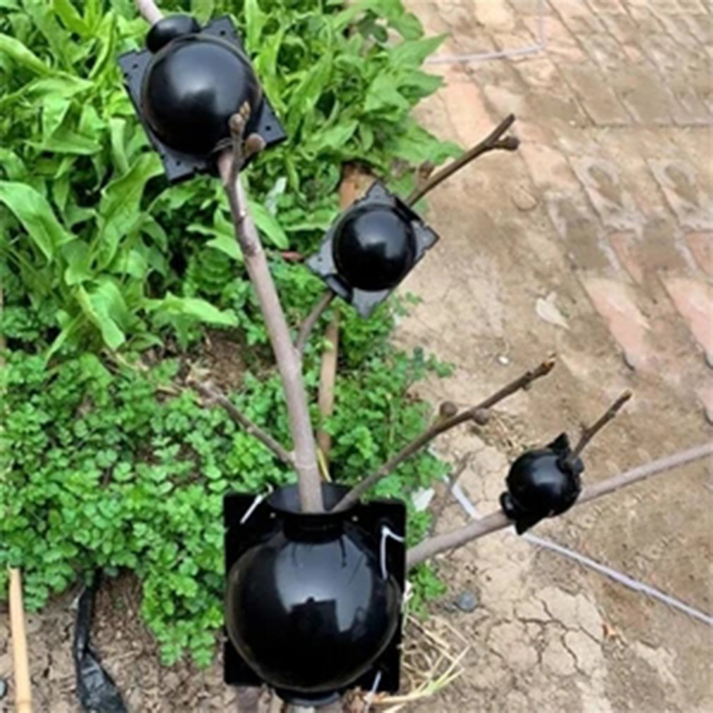 3 Sizes Plant Rooting Ball Grafting Rooting Growin... – Grandado