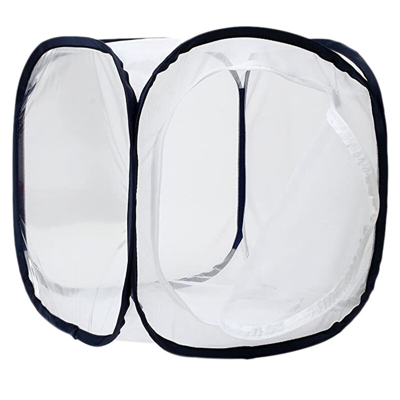 Butterfly Breeding Box Insect Net Insect Butterfly... – Vicedeal