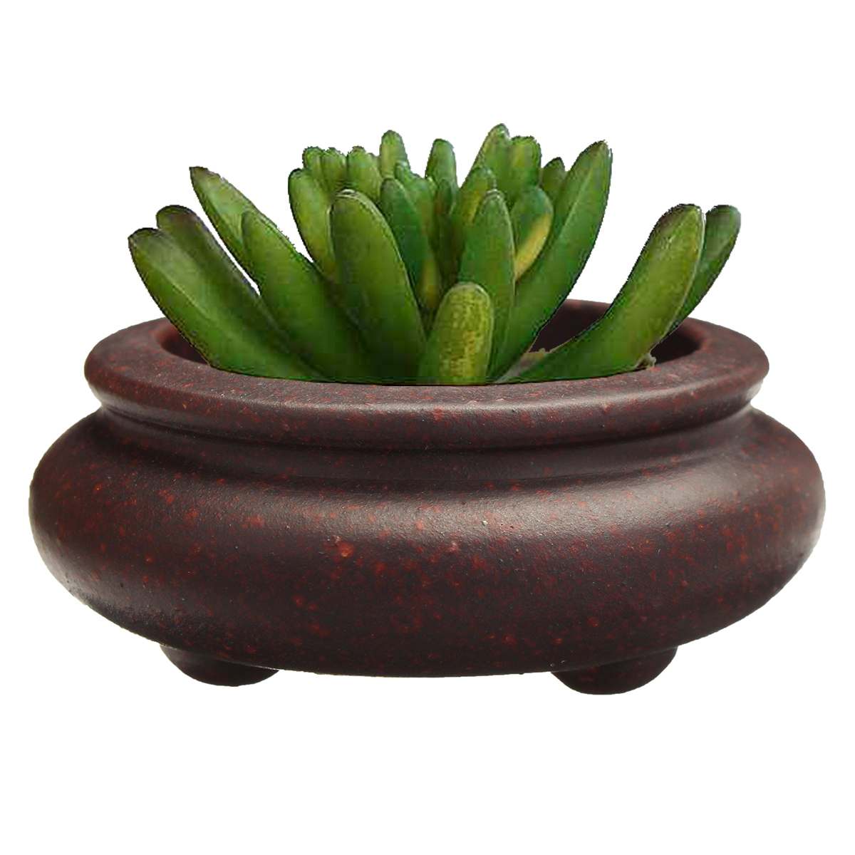 Keramische Ronde Chinese Yixing Bonsai Pot 5.7X2.5... – Grandado