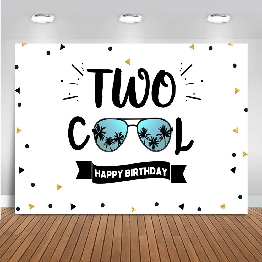 Mocsicka TWO COOL Baby 2nd Birthday Photography Ba... – Grandado