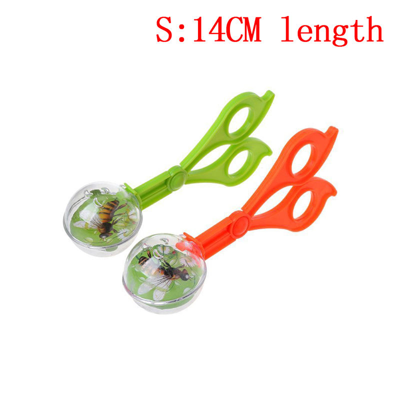 Cute Nature Exploration Toy Kit for Kids Children ... – Grandado