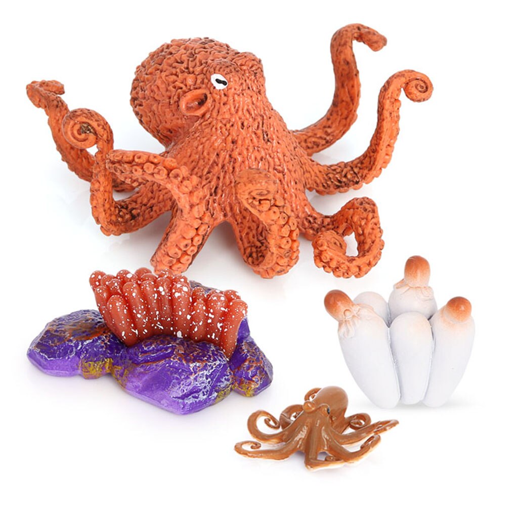 1 Set Life Cycle Kit Simulated Growing Model Early... – Grandado