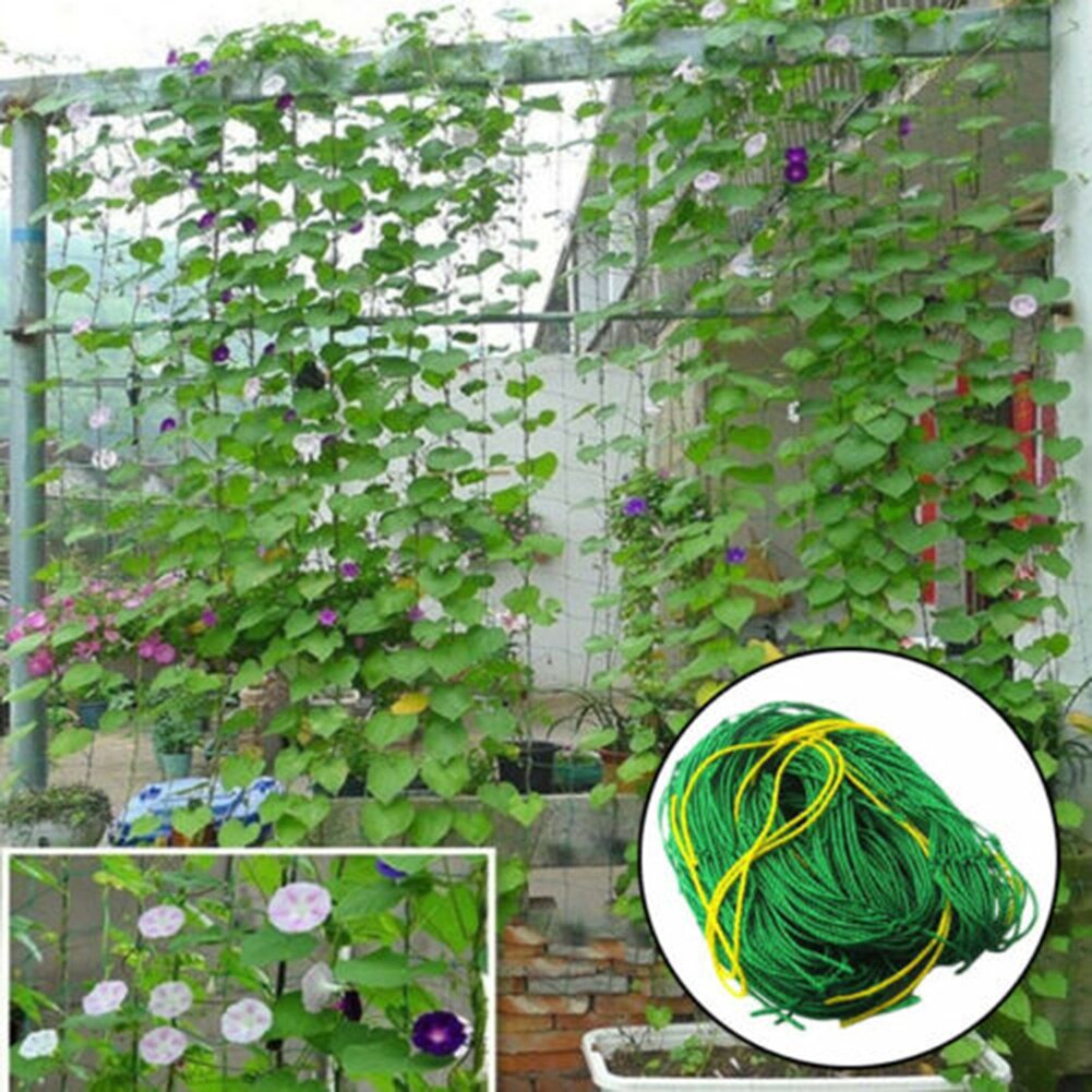 Garden Net Climbing Plant Plastic Support Mesh Cle... – Grandado