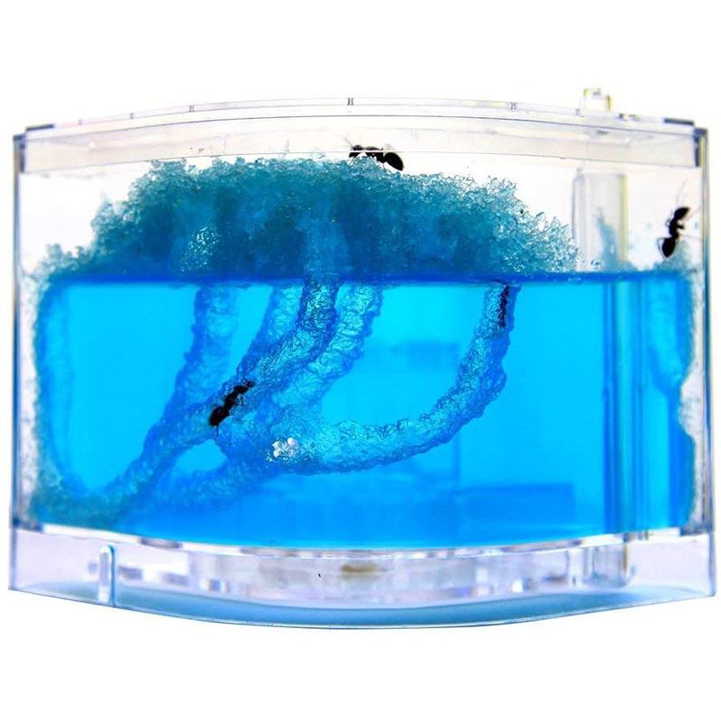 Ant Farm Ant House Castle USB Colorful Insect Feed... – Vicedeal