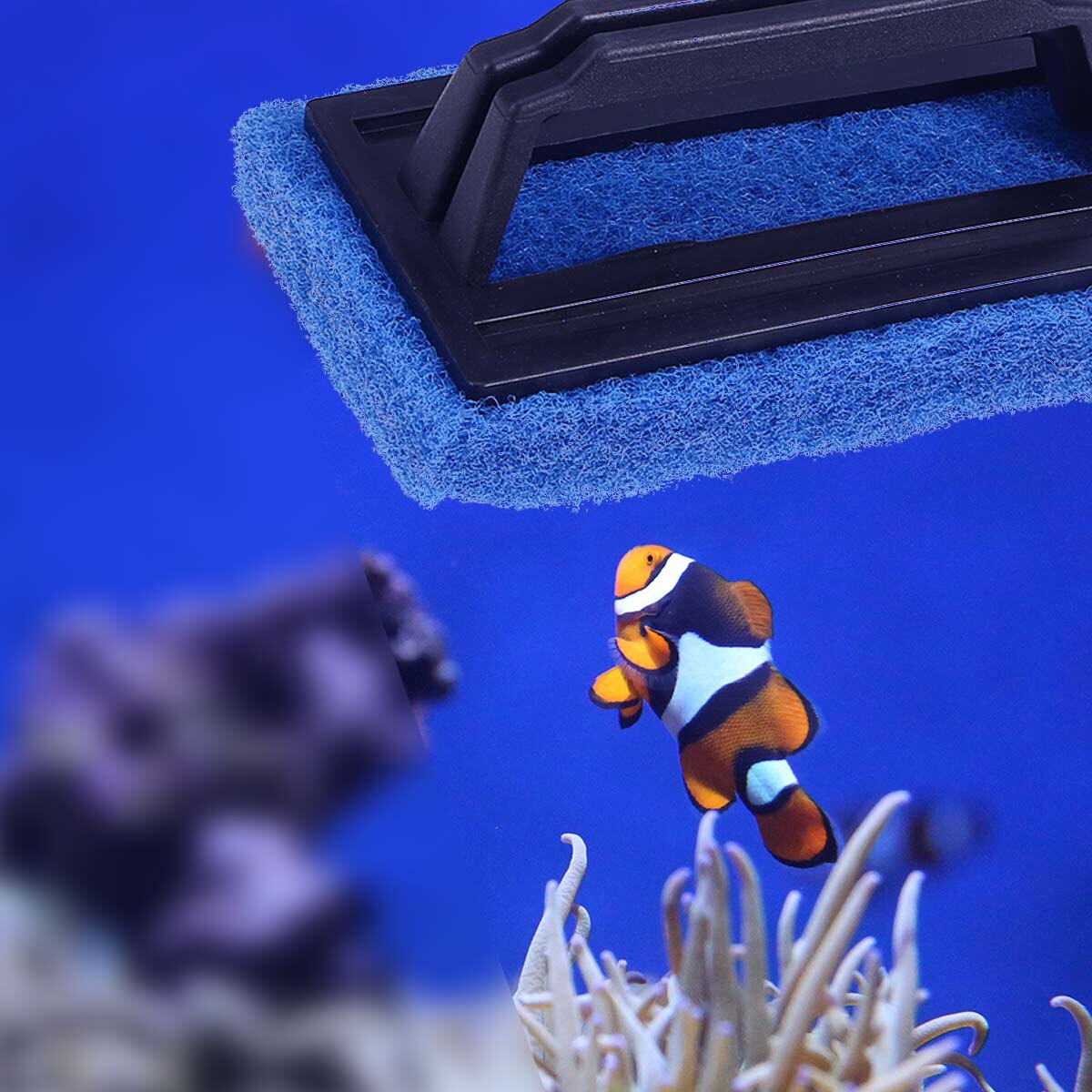 Single Face Handle Aquarium Brush Fish Tank Cleani... – Vicedeal