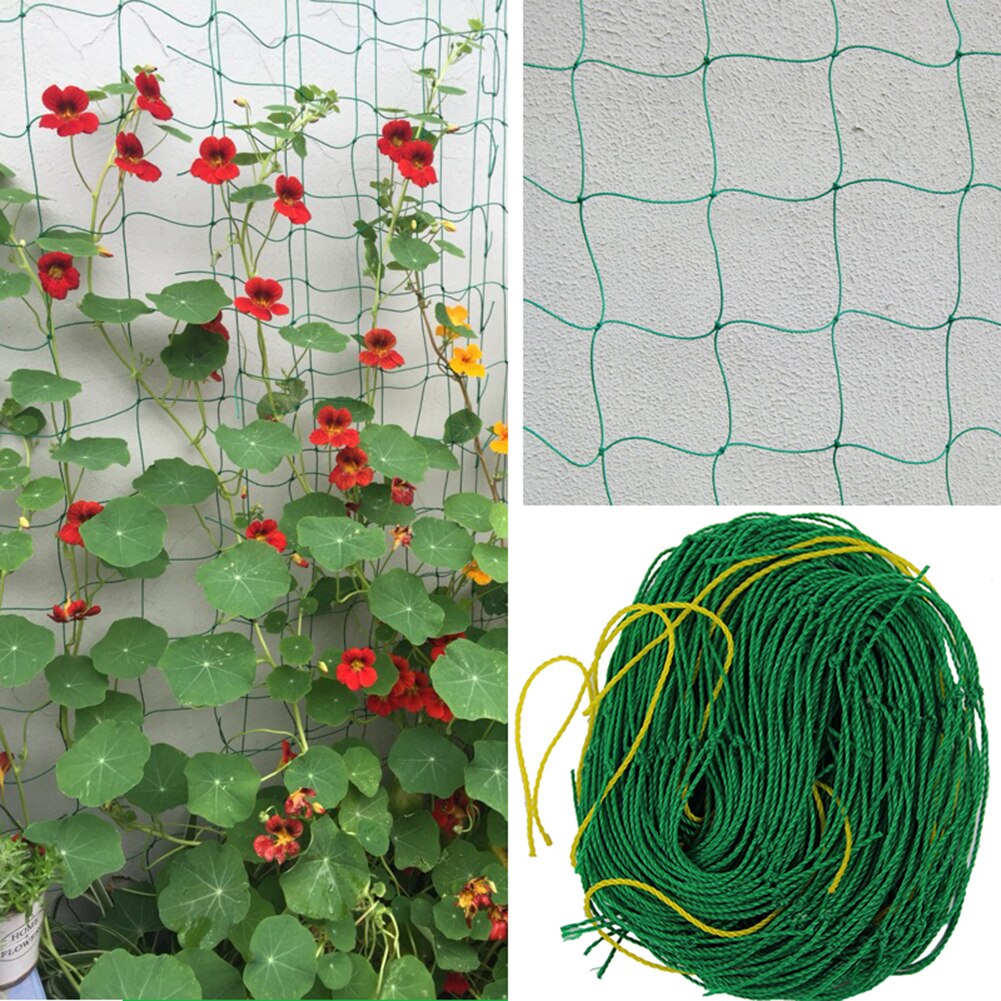 1PCS Garden Plants Climbing Net Nylon Net Morning ... – Grandado