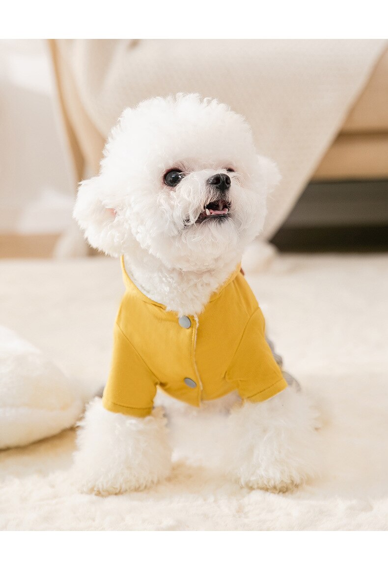 Pet Cat Vest Shirt for Small Cats Mascotas Clothin... – Vicedeal