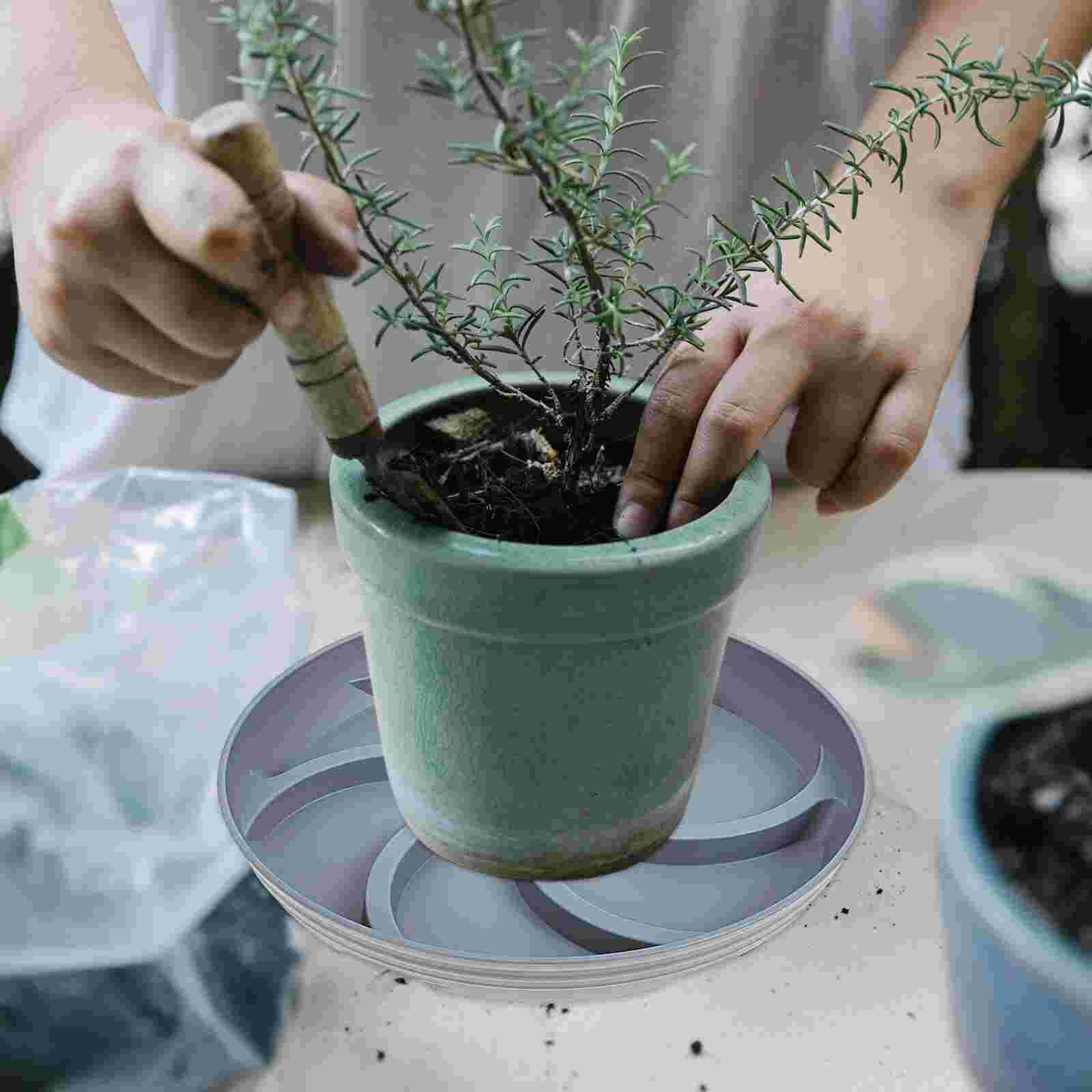 5pcs Plant Pot Base Trays Round Flowerpot Water Tr... – Grandado