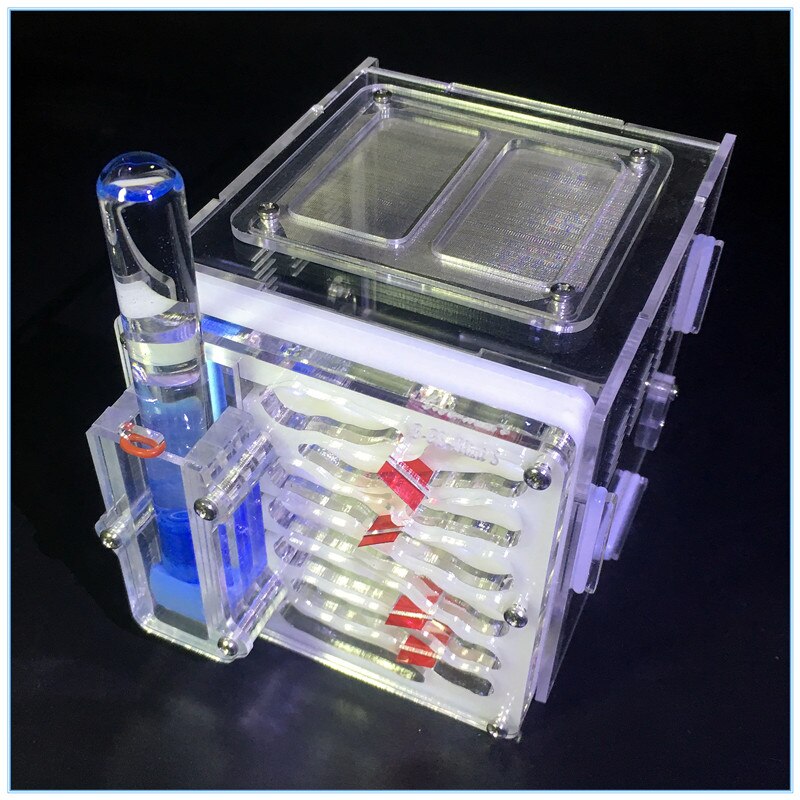 Pocket Mini Ant Housing Nest Insect Cage Farm With... – Grandado