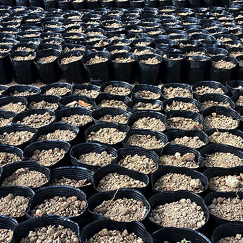 Plant Nursery Room Pots Plants Garden Nursery Pots... – Grandado