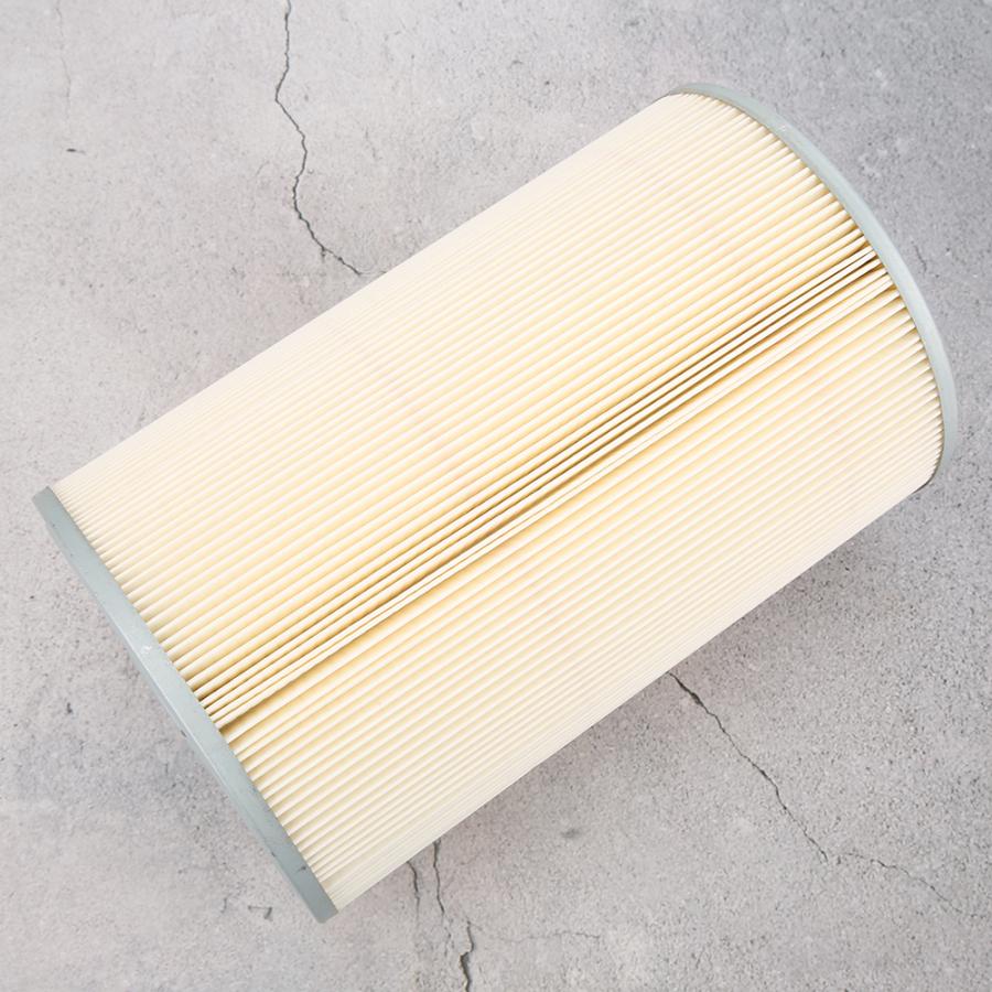 Oil Water Separator Filter DAHL300 Replacement Tru... – Grandado