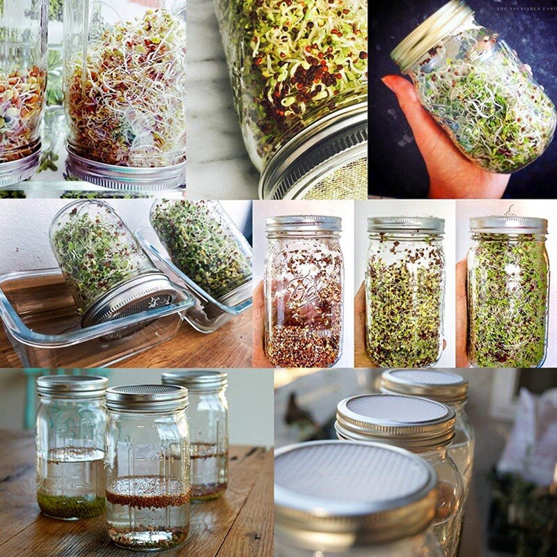Sprouting Seeds Germination Cover Kit Germinating ... – Grandado