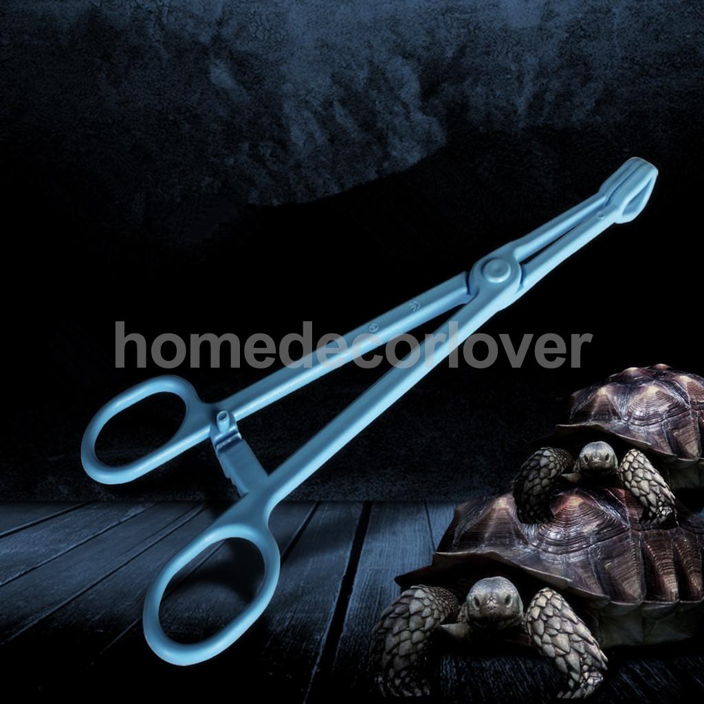 19 Cm/24 Cm Reptiel Terrarium Plastic Pincet Tang ... – Grandado