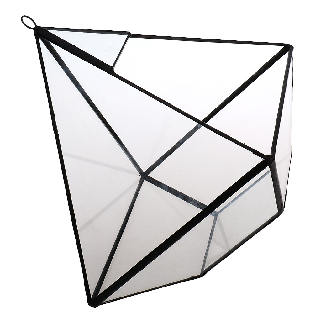 Glass Succulent Terrarium Box Air Plant Fern Moss ... – Vicedeal