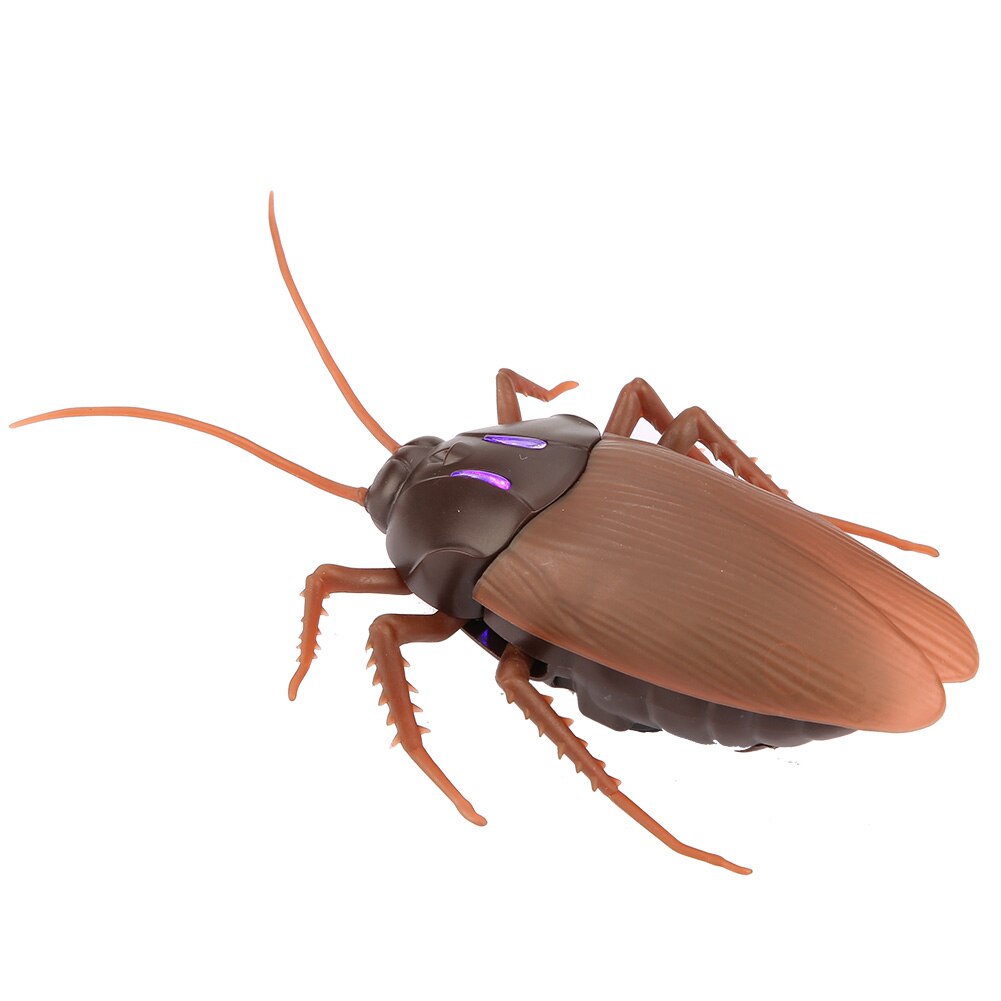 Infrared RC Remote Control Animal Toy Kit for Kids... – Grandado