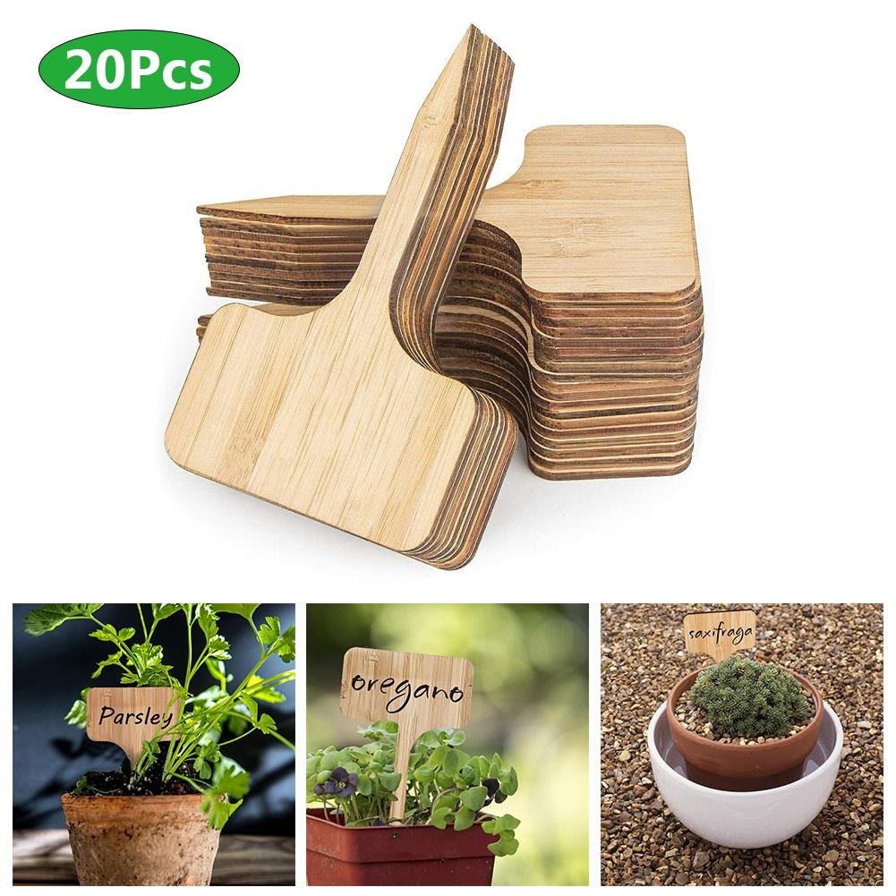 20PCS Plant Markers Garden Bonsai Succulent Seedin... – Vicedeal
