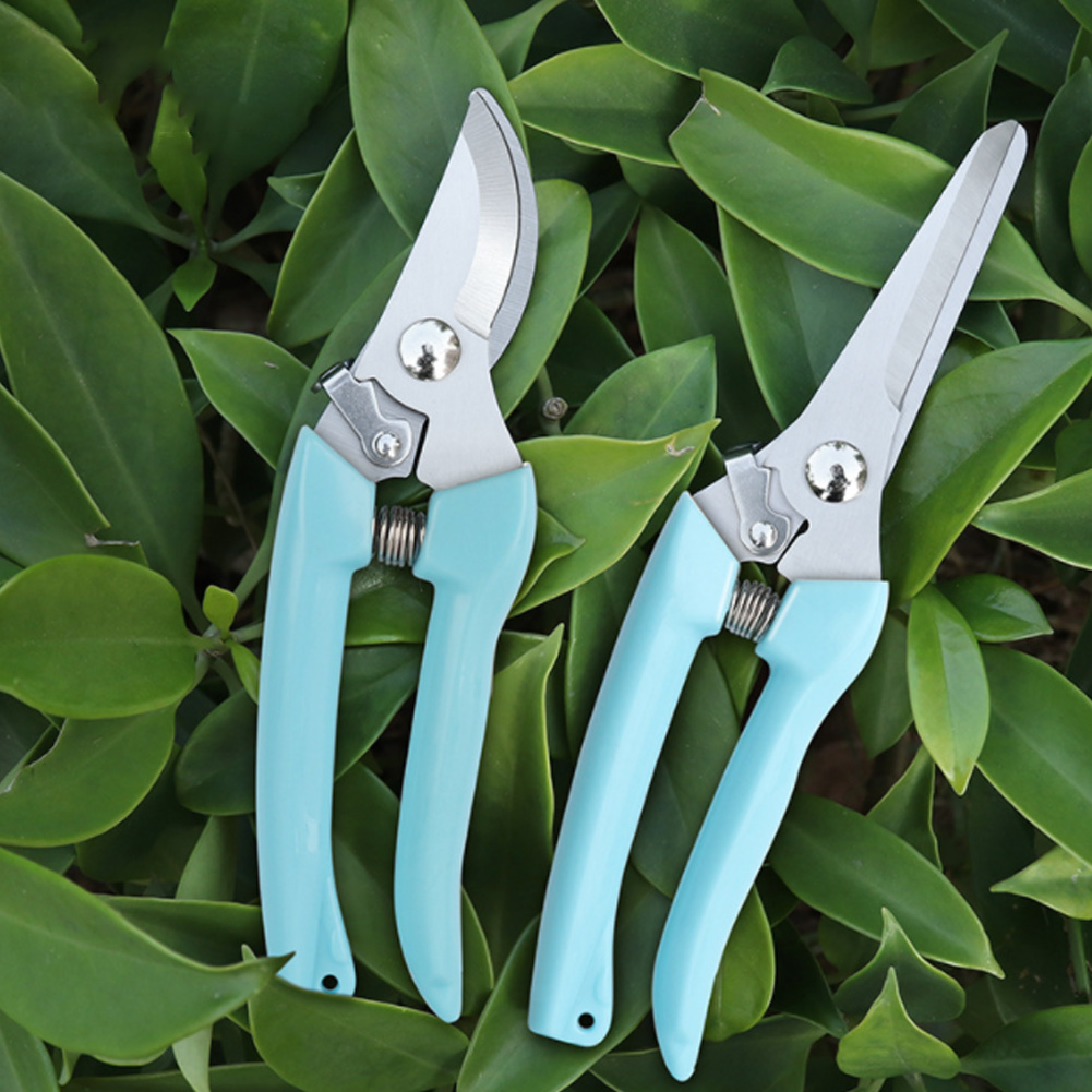 Snoeischaar Boomgaard En De Tuin Handgereedschap B... – Grandado