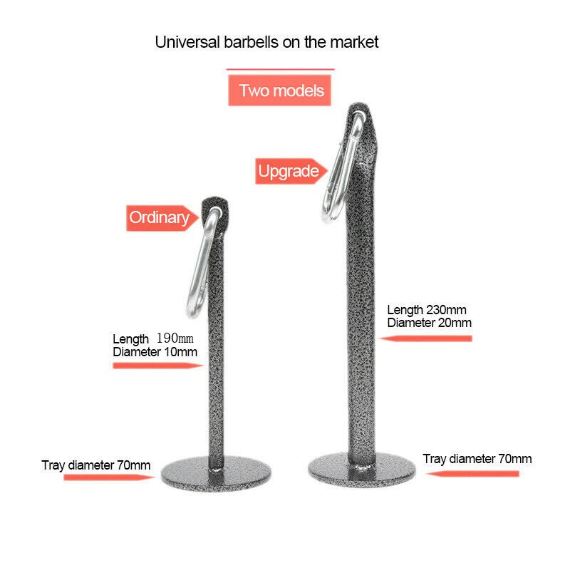 Barbell Disk Rack Weight Bearing Tray Storage Disp... – Vicedeal